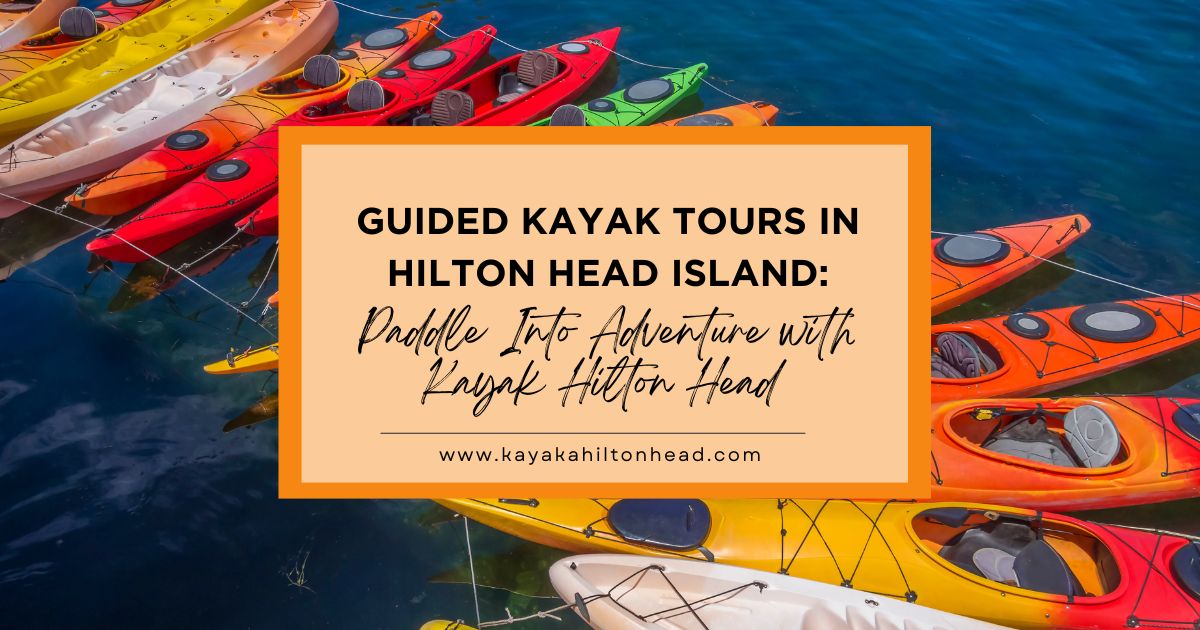 Guided Kayak Tours in Hilton Head Island Paddle Into Adventure with ...